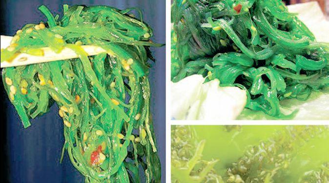 Algele marine combat astenia, stresul si anemia | Antena 1