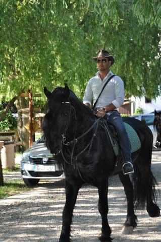 Calul lipitan - un animal frumos, cu o personalitate puternica | Antena 1