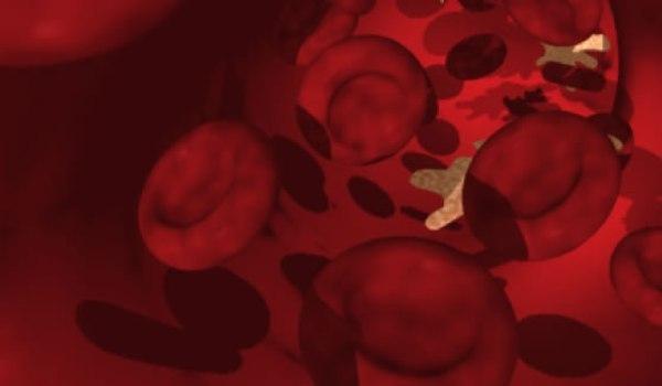 Globulele rosii create in laborator, similare cu cele normale | Antena 1