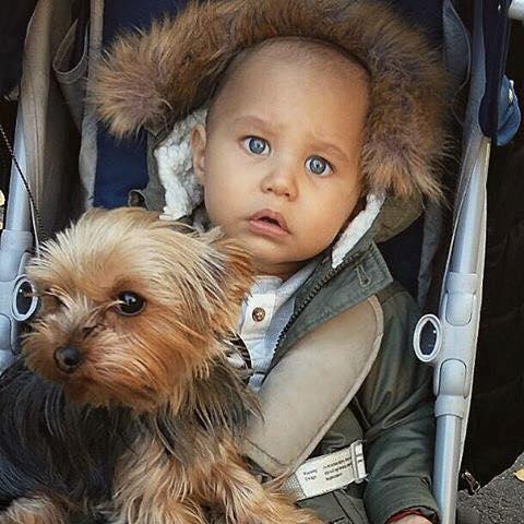 Dominic, un Alex Velea mai mic. Artistul își învață băiatul cum se fac ...