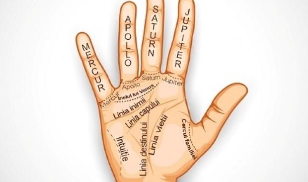 Uită-te bine în palmă! Citeşte bine LINIA VIEŢII şi află câţi ani vei ...