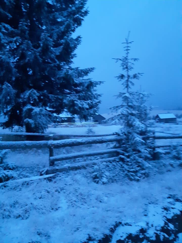 Din vară, direct în iarnă. Ninge în România la această oră: Imagini de ...