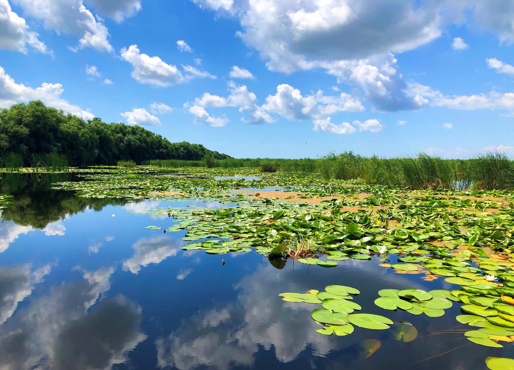 Delta Dunării - destinația acestei veri la tarife accesibile! | Antena 1