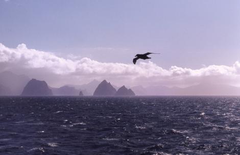 oceanul atlantic - citeste toate articolele despre oceanul atlantic ...