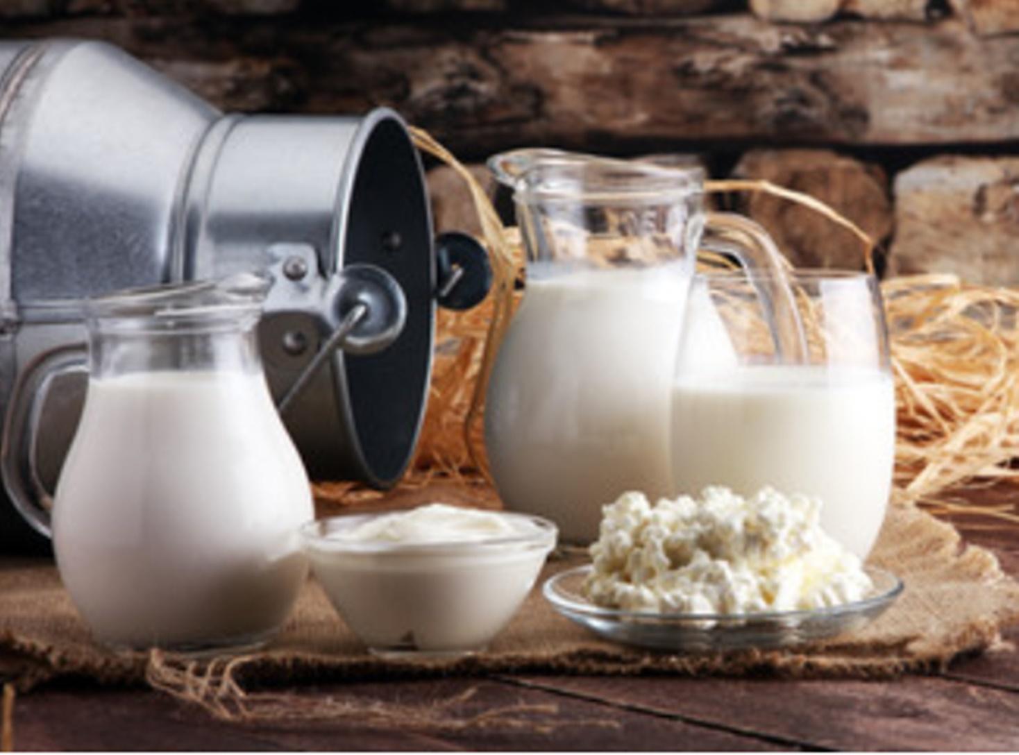 Trei metode de a prepara brânză din lapte de vaci acasă | Antena 1