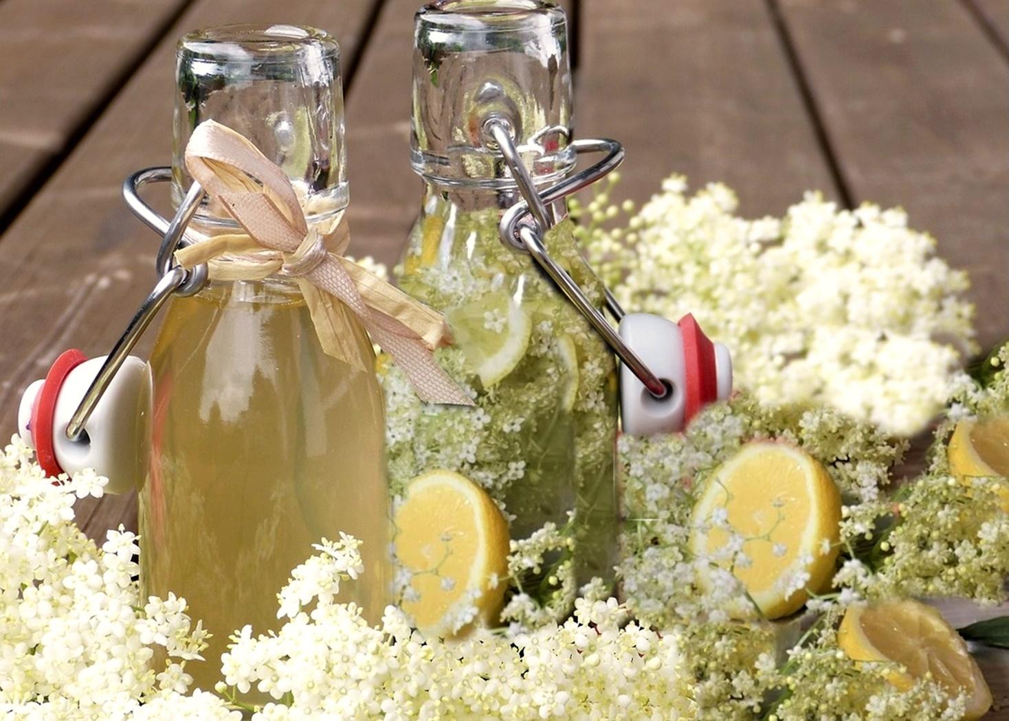 Cum se prepară Sirop concentrat de soc și Socată | Antena 1