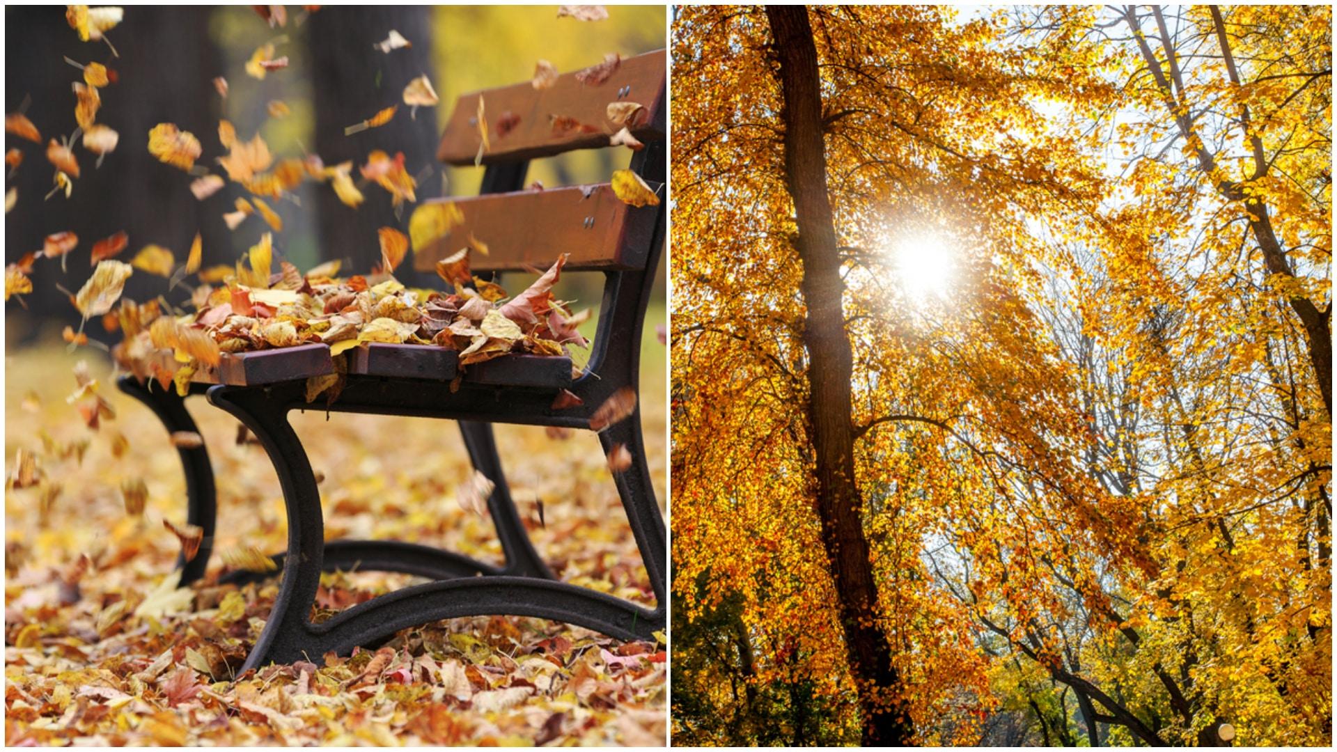 Prognoza meteo pentru luna octombrie 2021. Cum va fi vremea în ...